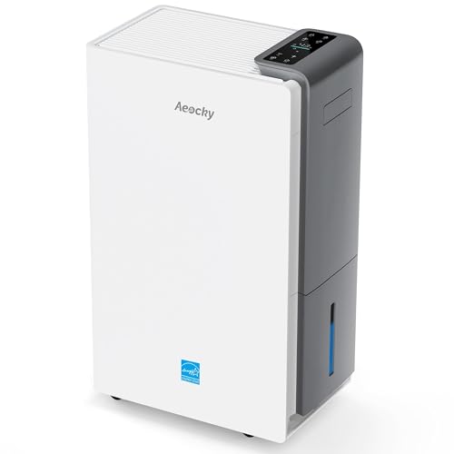 Best Dehumidifiers For Efficient Home Moisture Control And Energy Savings