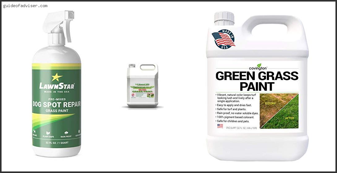 Top 10 Best Lawn Paint Of The Year